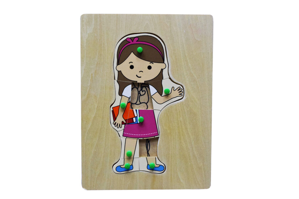 Rompecabezas De Madera Cuerpo Humano Niña Libélula