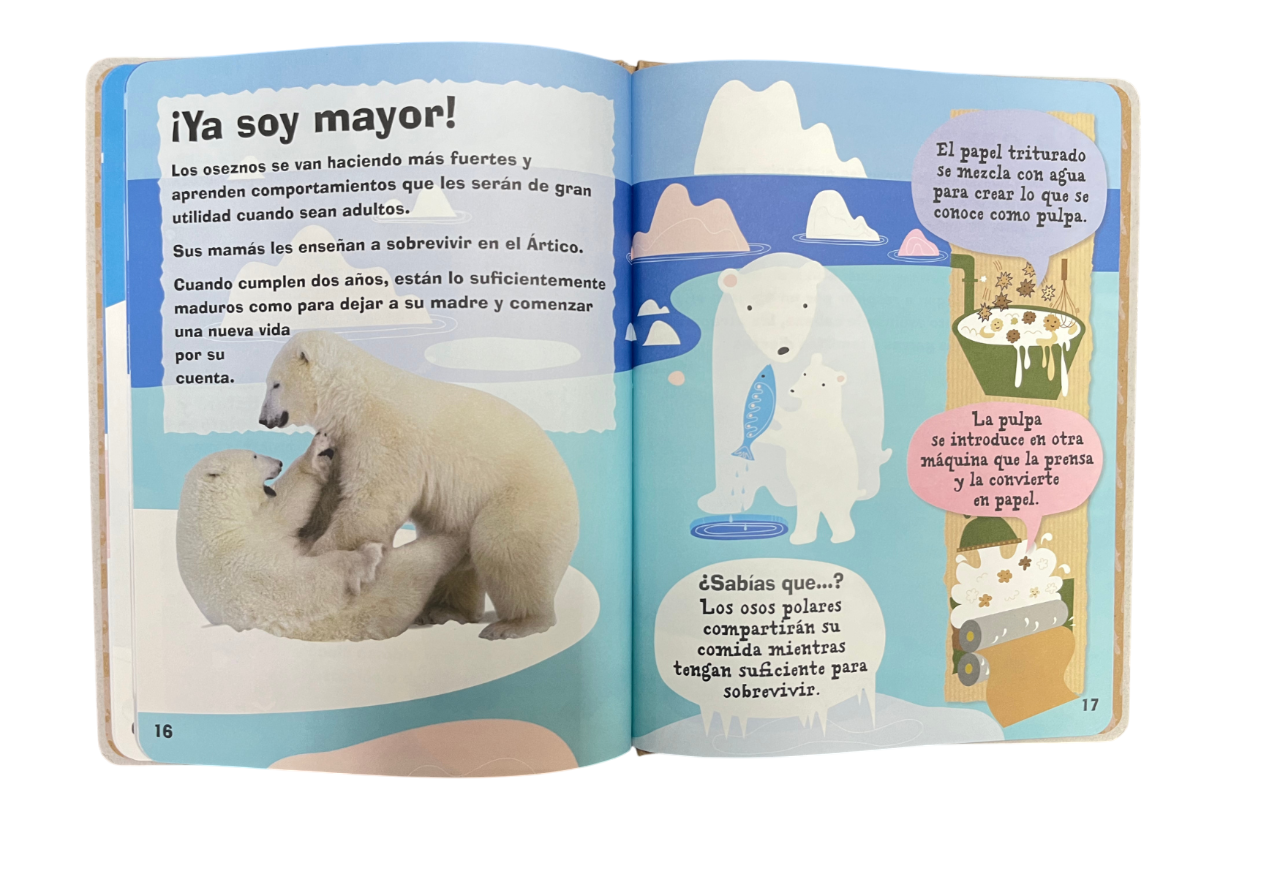 Libro Osos Polares – Libélula